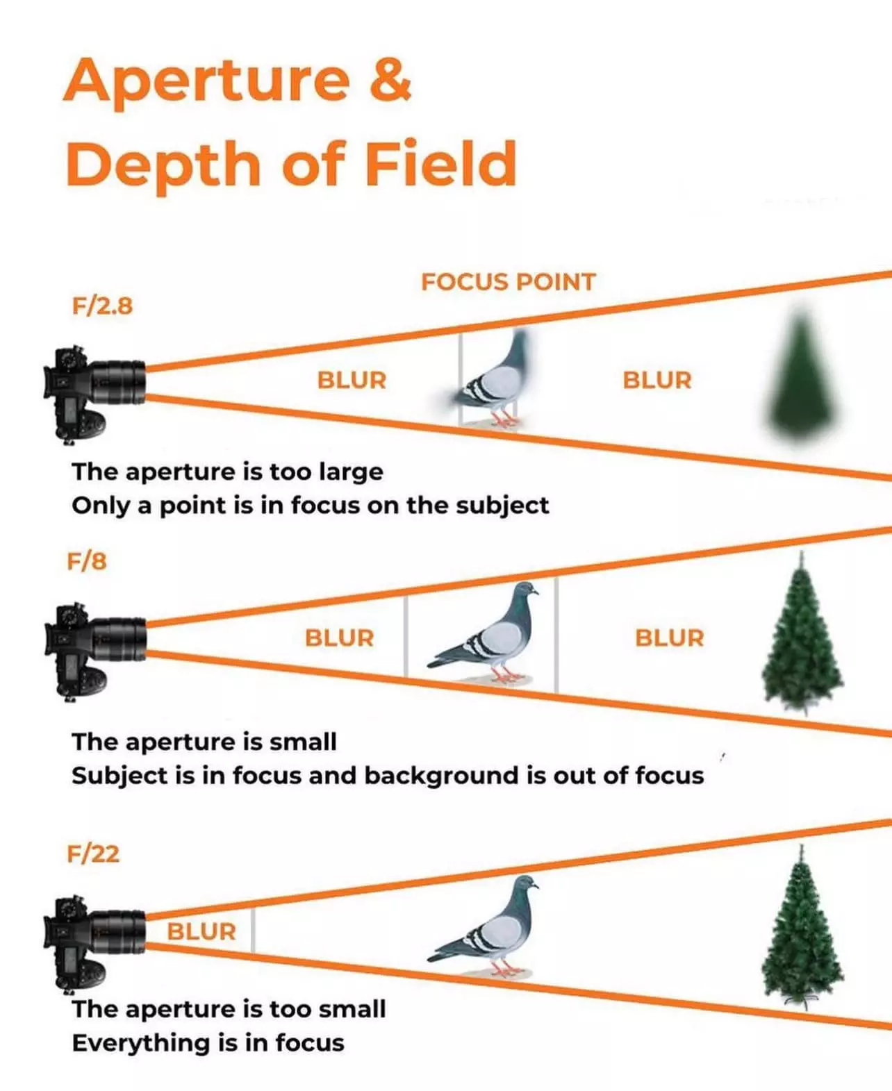 Understanding the Exposure Triangle: ISO, Shutter Speed and how it affects your final photo